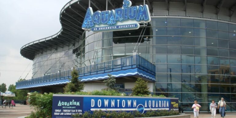 The Dive Lounge at Aquarium Restaurant Specials – Highlands Denver ...